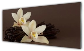 Plexisklo-obraz Květy Vanilky do Kuchyně 125x50 cm