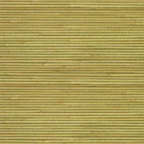 Přírodní tapeta 303500 Natural Wallcoverings III Eijffinger