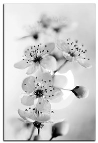 Obraz na plátně - Malé květy na větvi - obdélník 7173QA (75x50 cm)