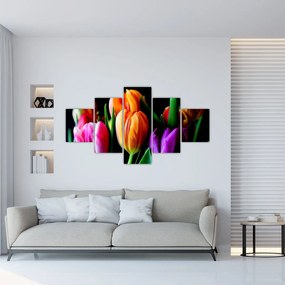 Obraz tulipánů na černém pozadí (125x70 cm)