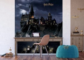 Dětská vliesová fototapeta na zed' Harry Potter | 225 x 270 cm | DFTD3P5175