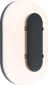 P 94957 LED venkovní nástěnné svítidlo Elunor IP65 podlouhlé 122x212mm 2200 - 4000K 18,5W 230V antracit/bílá polykarbonát - PAULMANN