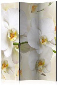 Paraván Orchid Branch Dekorhome 135x172 cm (3-dílný)