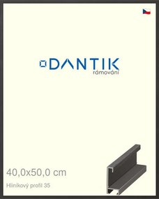 DANTIK rámeček 40x50 | ALU profil 6035 Dýha černá (Sklo Čiré)