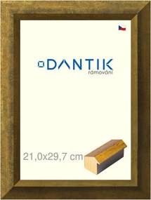 DANTIK rámeček 21x29,7 | Forgia Gold (Sklo Čiré)
