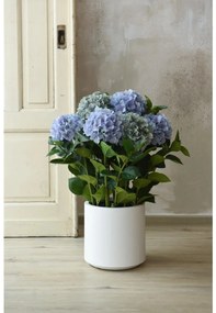 Umělá hortenzie HYDRANGEA v bílém květináči, výška 78 cm, modrá