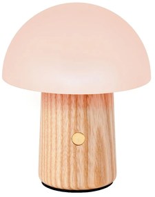 Stmívatelná stolní lampa v přírodní barvě se skleněným stínidlem (výška 13 cm) Alice – Gingko