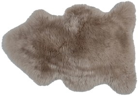 CONCEPTUM HYPNOSE Ovčí kůže CAMEL 724EKH9627