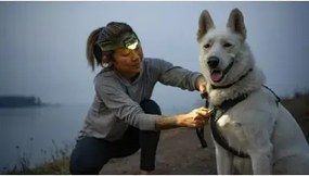 Ruffwear Front Range Postroj pro psy Red Canyon - S