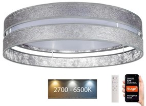 Belis | LED Stmívatelné stropní svítidlo LIMA LED/36W/230V Wi-Fi Tuya + DO stříbrná | BE0883