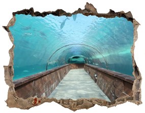Wallmuralia Fototapeta díra na zeď 3D Tunel akvárium 95x64 cm