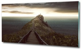 Wallmuralia Foto obraz skleněný horizontální Stezka na skále 100x50