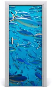 Samolepící fototapeta na dveře Korálové ryby 75x205 cm