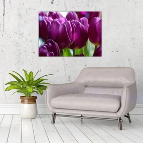 Skleněný obraz tulipánů (70x50 cm)