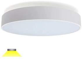 Led2 Stropní LED svítidlo RINGO 60 cm Barva: Bílá, Stmívání: DALI/PUSH