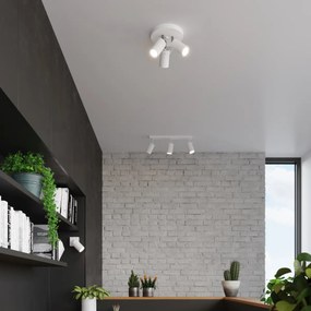 Sollux Lighting Stropní svítidlo RING 3P bílé