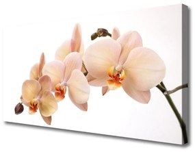 Obraz na plátně Květiny Rostlina 125x50 cm