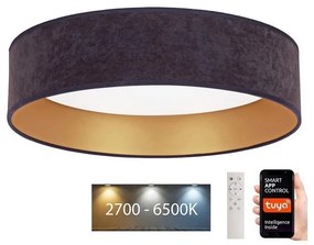 Brilagi - LED Stmívatelné svítidlo VELVET SMART LED/24W/230V Wi-Fi Tuya + DO