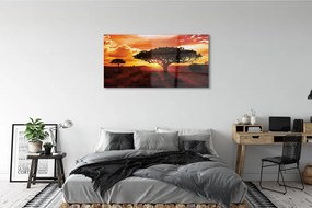 akrylový obraz Stromy mraky západ 125x50 cm