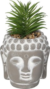 Dekorace Succulent I Buddha 17cm