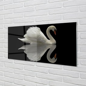 Obraz na skle Swan v noci 100x50 cm