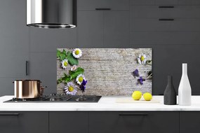 Skleněné obklady do kuchyně Sedmikráska Rostlina Příroda 120x60 cm
