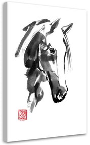 Gario Obraz na plátně Hlava koně - Péchane Rozměry: 40 x 60 cm