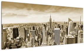 Panorama New York, obraz (100x40cm)