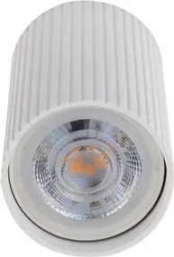 TK Lighting Tune S bílá / Stropní svítidlo / GU10 / 10W