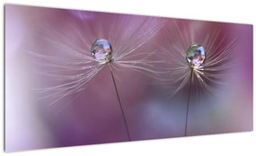 Obraz - květ s kapkami vody (100x40cm)