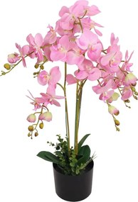 vidaXL Umělá rostlina orchidej s květináčem 75 cm [244425] Barva: Bílá