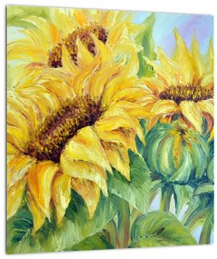 Obraz rozkvetlých slunečnic (30x30 cm)