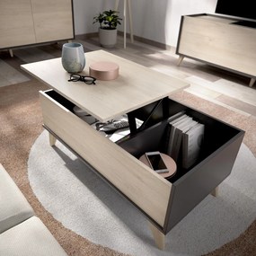 Aldo Konferenční stolek s úložným prostorem Ness graphit