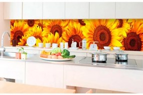 DIMEX | Fototapeta do kuchyně Slunečnice KI-350-051 | 350 x 60 cm | žlutá, hnědá