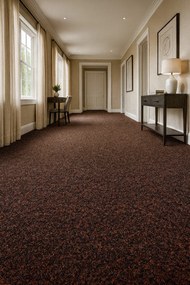 Rinos bv, Čistící zóna Robust 132 hnědá, šíře 135 cm, šíře 1,35m,2m, hnědá, pvc, chodba / předsíň