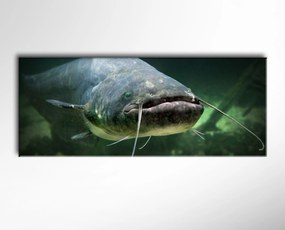 Malvis ® Obraz Sumec pod vodou ROZMĚR (šířka x výška): třídílný obdélník 150x60 cm