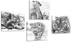 Set obrazů zvířata v černobílém akvarelovém provedení - 4x 60x60 cm