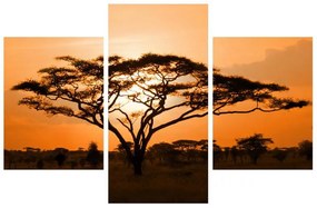 Obraz africké savany (90x60 cm)