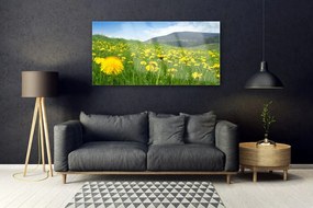 akrylový obraz Pampeliška Příroda 120x60 cm
