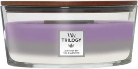Svíčka woodwick trilogy amethyst sky 453 g