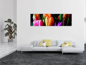 Obraz tulipánů na černém pozadí (170x50 cm)