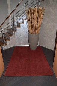Lano, Kusový koberec Supersoft s bordurou 110 červený, 60x100, červená, ložnice
