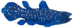 Mojo Animal Planet Coelacanth / od 3 let
