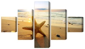 Vícedílný obraz Hvězdice Na Pláži 3D Nedostatek Nedostatek Přírodní plátno 200x120