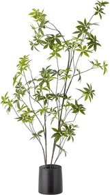 Umělá rostlina (výška 160 cm) Palmatum – Bloomingville