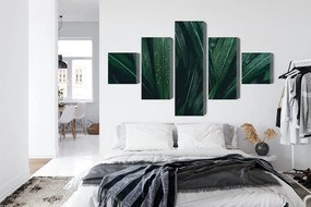 Vícedílný obraz Tmavě Zelené Listy Na Makro Stupnici Nedostatek Nedostatek Plátno Canvas 200x120