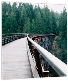 Obraz - Most k vrcholkům stromů (30x30 cm)