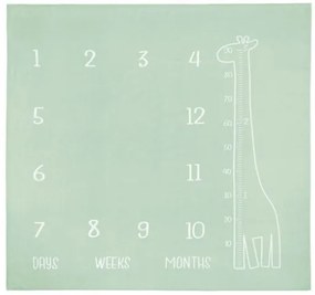 Bestent Dětská foto deka mušelínová Žirafka