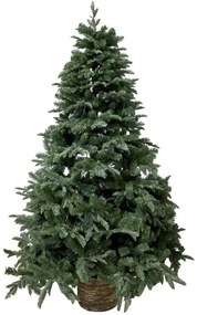Zelený vánoční jedlový strom v květináči se světýlky Fleur Tree - 139*210 cm