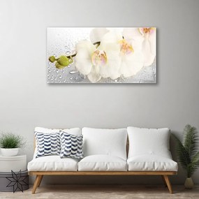 Obraz na skle Květiny 140x70 cm
